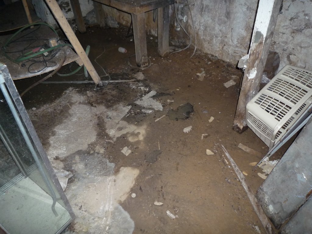 Why is my house so humid? | Ted's Energy Tips